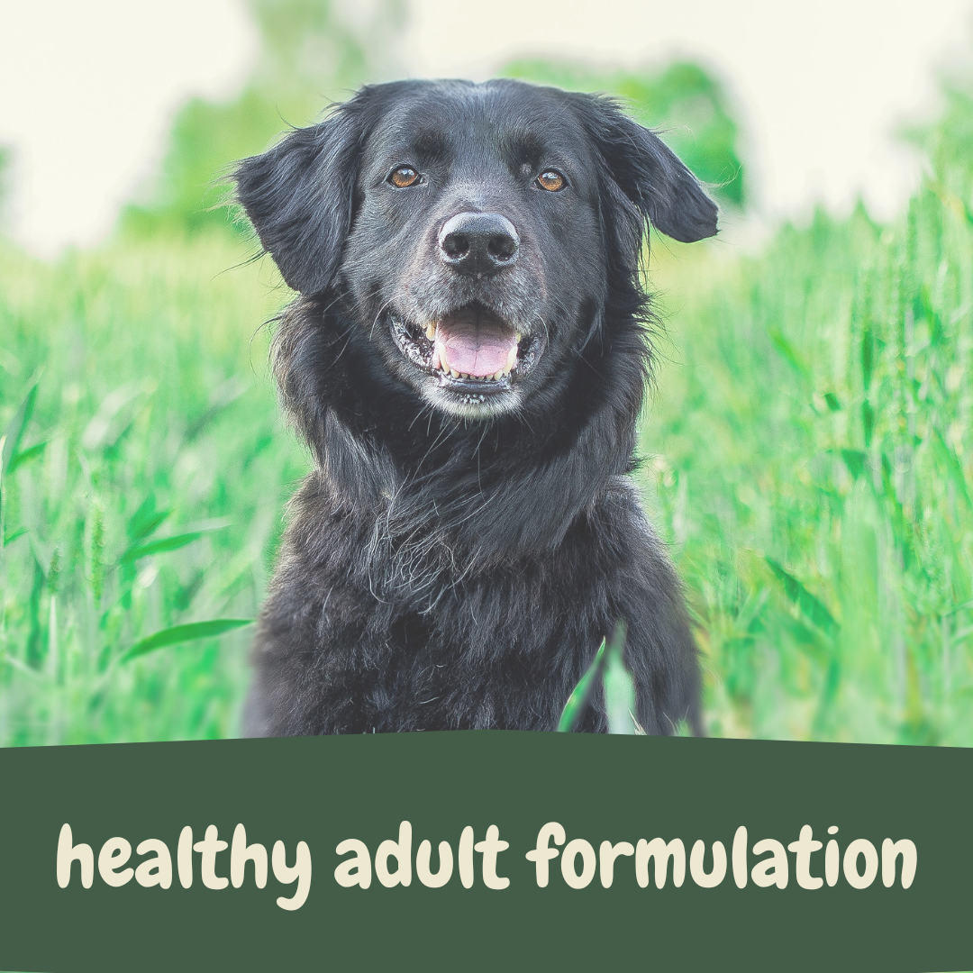 Healthy Adult Formulation - Tailored Tummy Co.