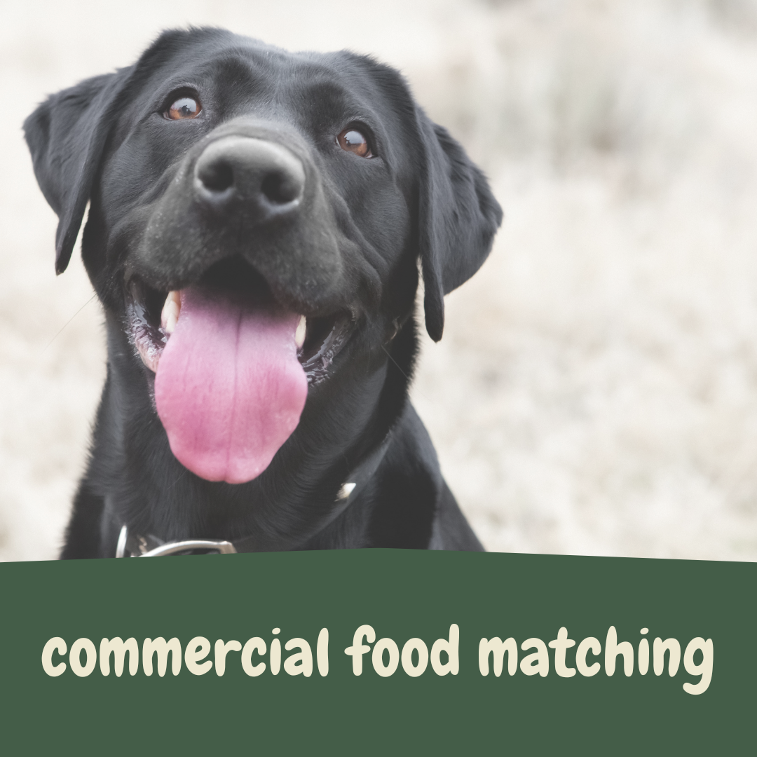 Commercial Food Matching - Tailored Tummy Co.